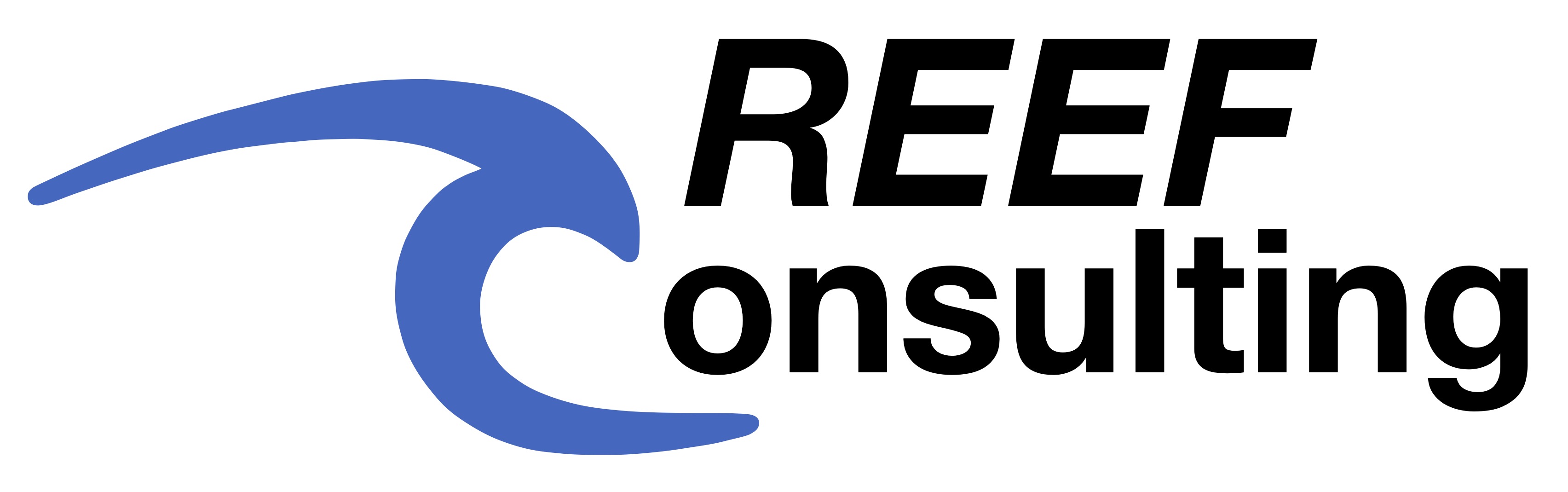 Consulting – REEF3D